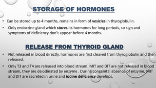 Thyroid gland and its disorders | PPTX