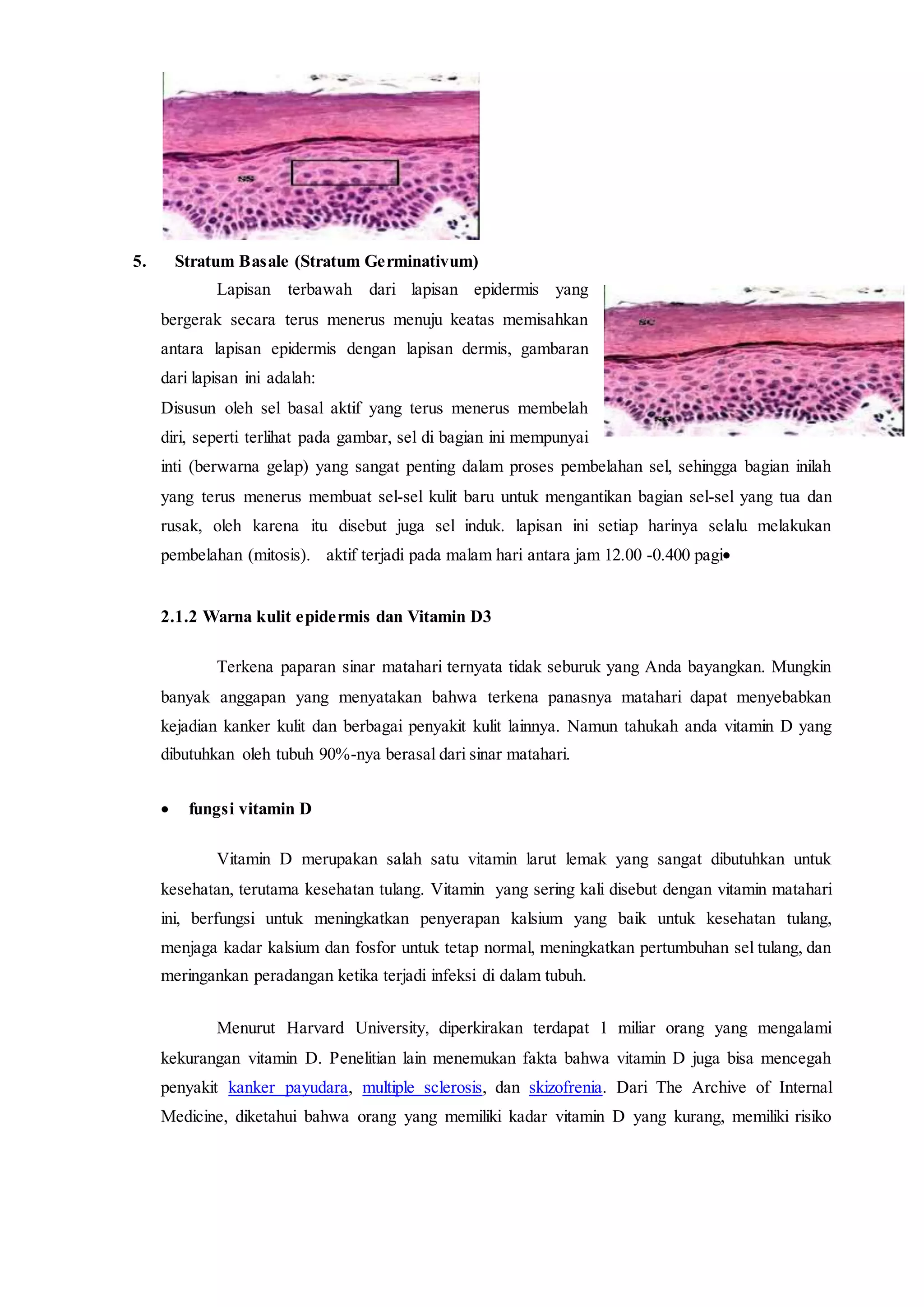 Malakah Sistem integumen | DOCX