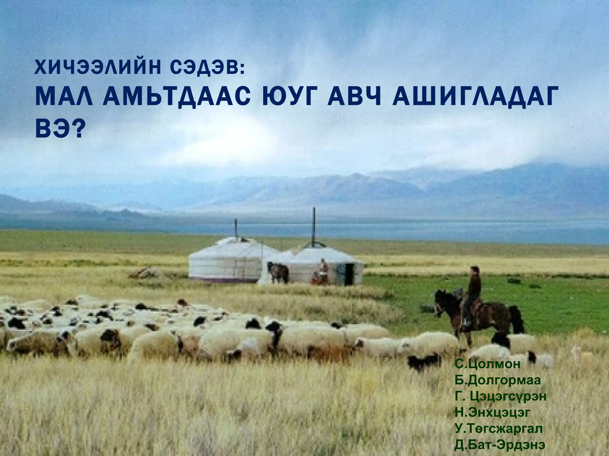 Mal amitadiin ashig | PPT