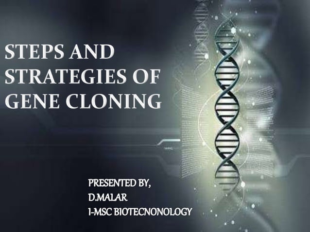 Steps and strategies of gene cloning | PPTX | Genetics | Science