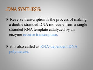 Steps and strategies of gene cloning | PPTX