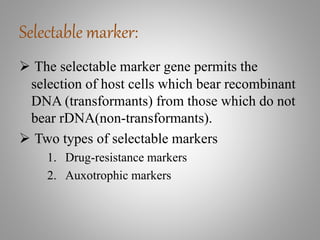 Steps and strategies of gene cloning | PPTX
