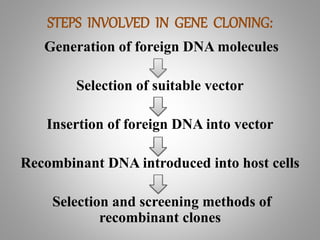 Steps and strategies of gene cloning | PPTX