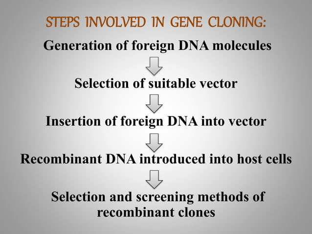 Steps and strategies of gene cloning | PPTX | Genetics | Science