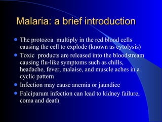 Malaria | PPT