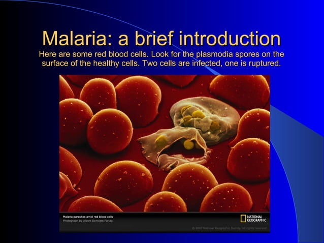 Malaria | PPT