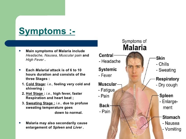 Malaria Symptoms