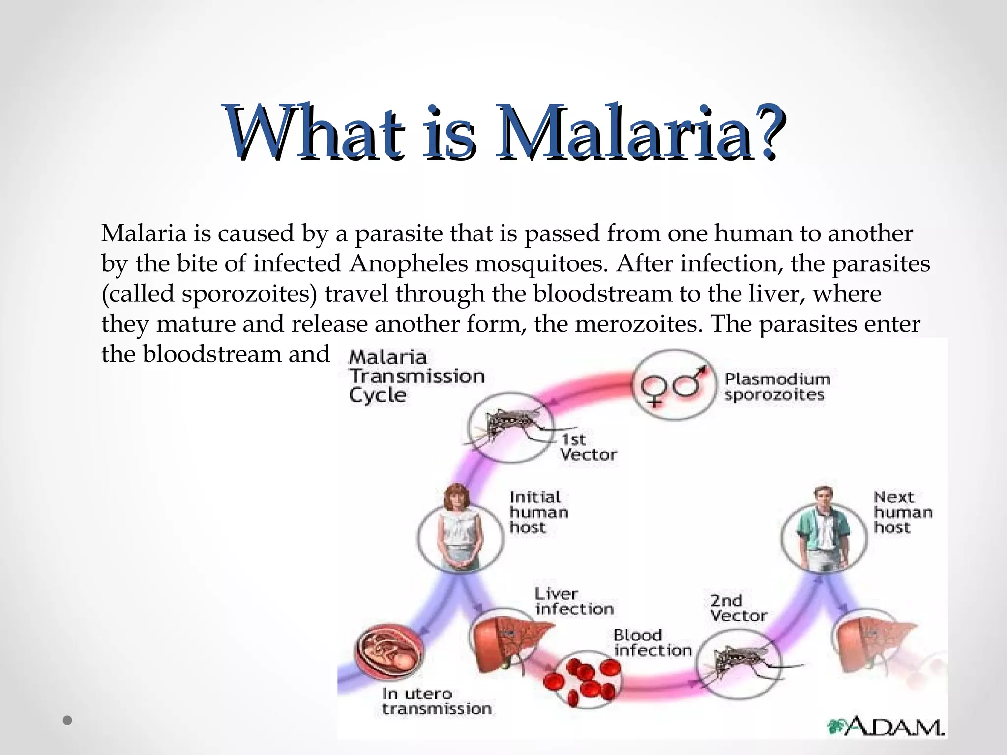 Malaria | PPT