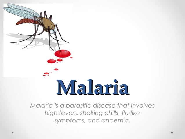 Malaria | PPT | Infectious Diseases | Diseases and Conditions