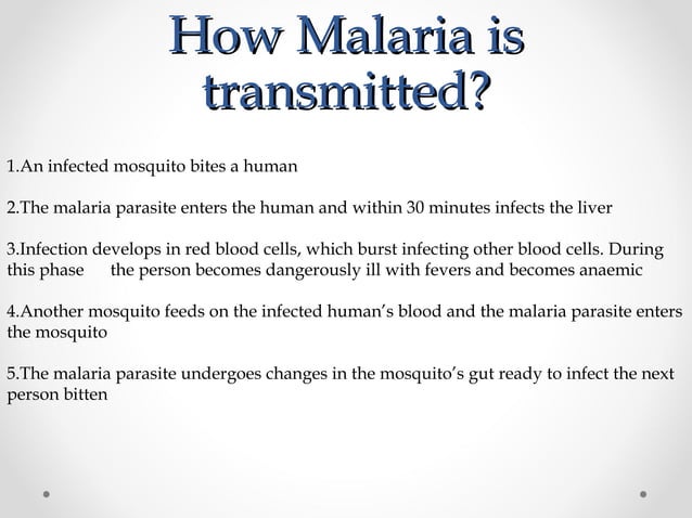 Malaria | PPT | Infectious Diseases | Diseases and Conditions