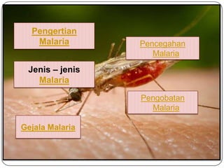 Malaria | PPTX