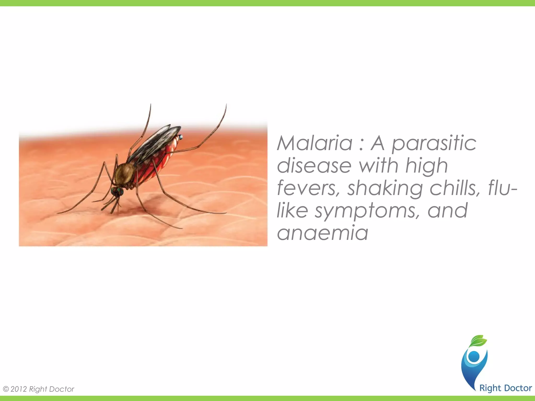 Malaria | PPT