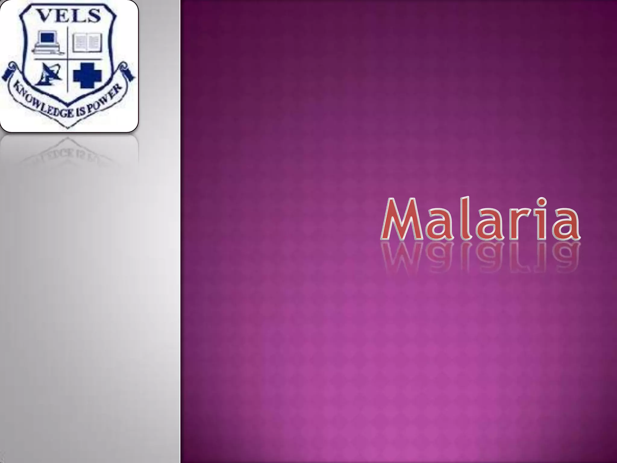 Malaria Case Study | PPTX