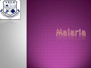 Malaria Case Study | PPTX
