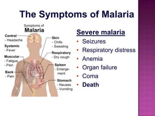Malaria Case Study | PPTX