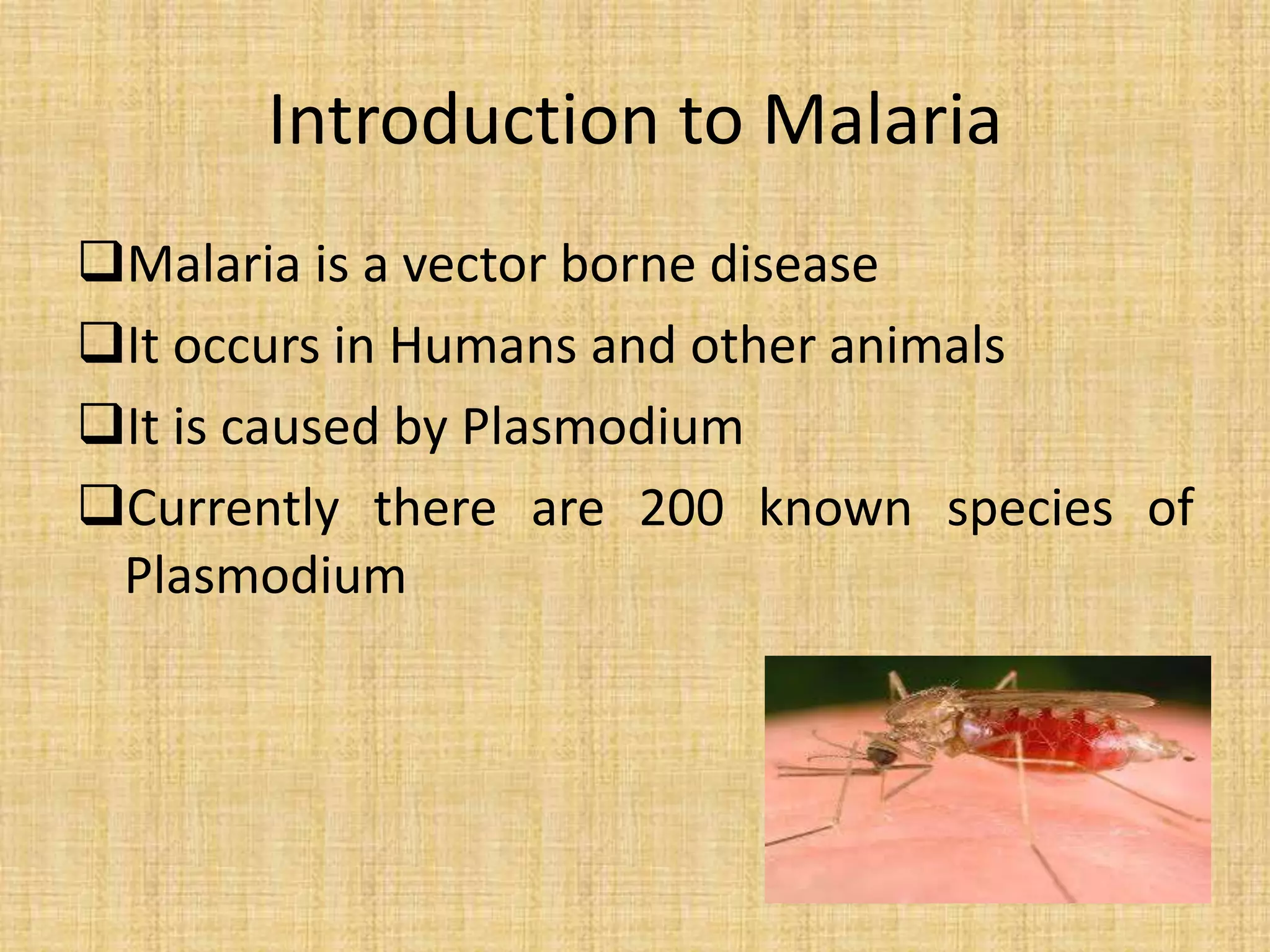 Malaria | PPTX