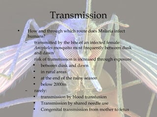 Malaria | PPT | Free Download