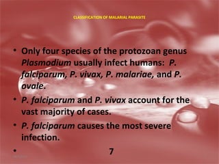 Malaria | PPT