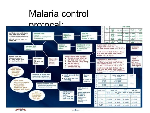 malaria-141112210953-conversion-gate02 (1) (1).pptx