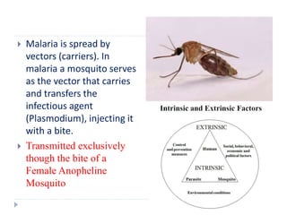 Malaria | PPT