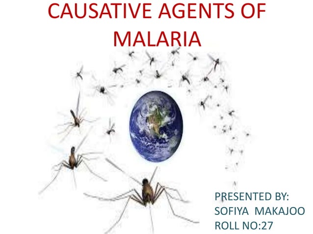 Malaria | PPTX