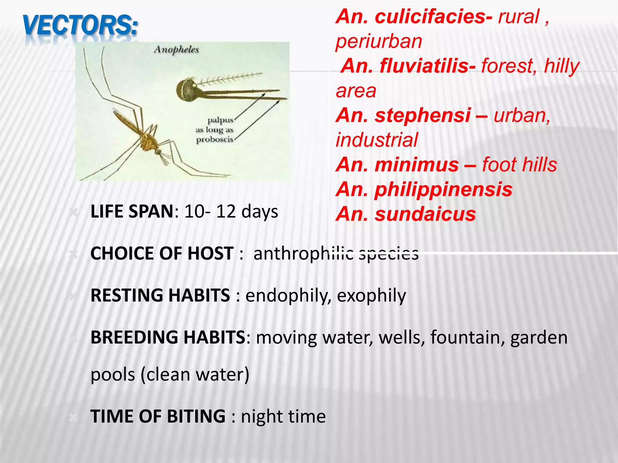 Malaria | PPTX