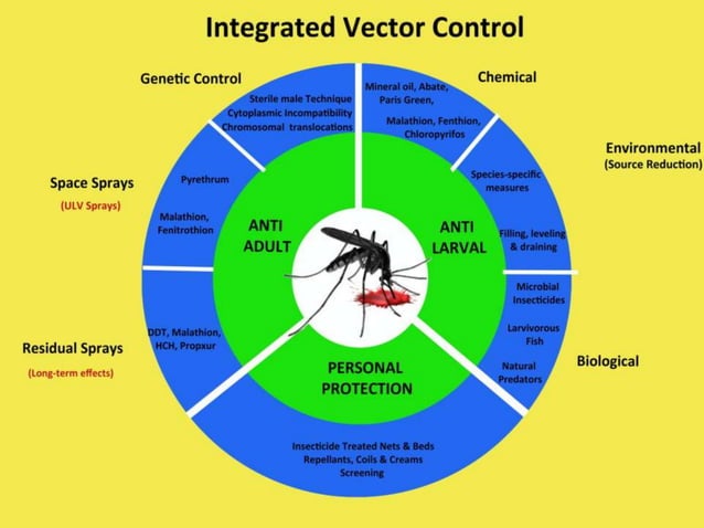 Malaria | PPTX | Infectious Diseases | Diseases and Conditions