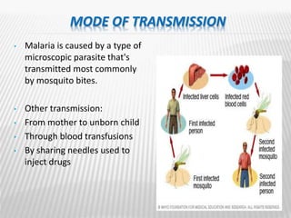 Mode Of Transmission Of Malaria