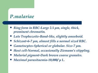 Malaria - 4 species | PPT