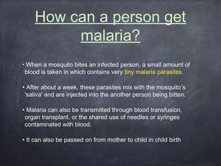 Malaria | PPT