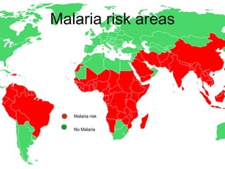 Malaria | PPT