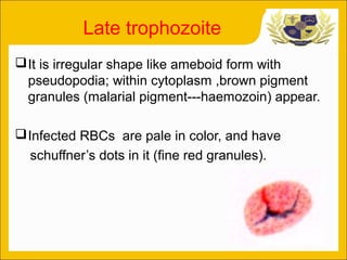 malaria-180315092718.pdf parasitology zoology | PDF