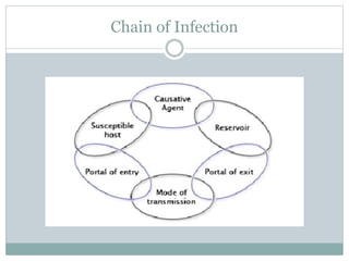 Vector Borne Disease | PPTX