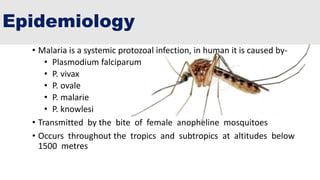 Malaria | PPTX