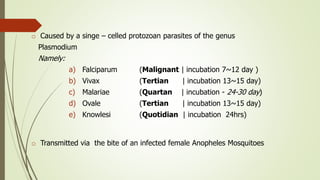 Malaria | PPTX