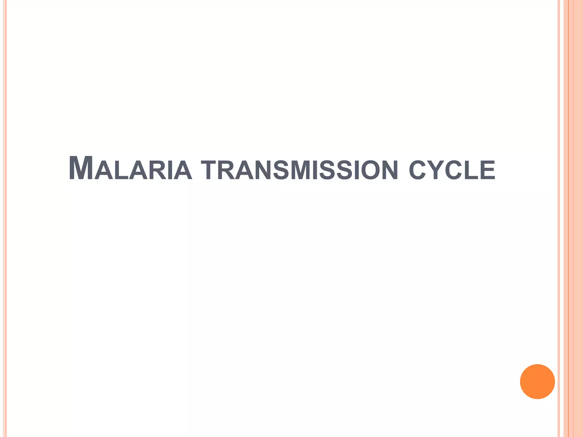 Malaria | PPTX