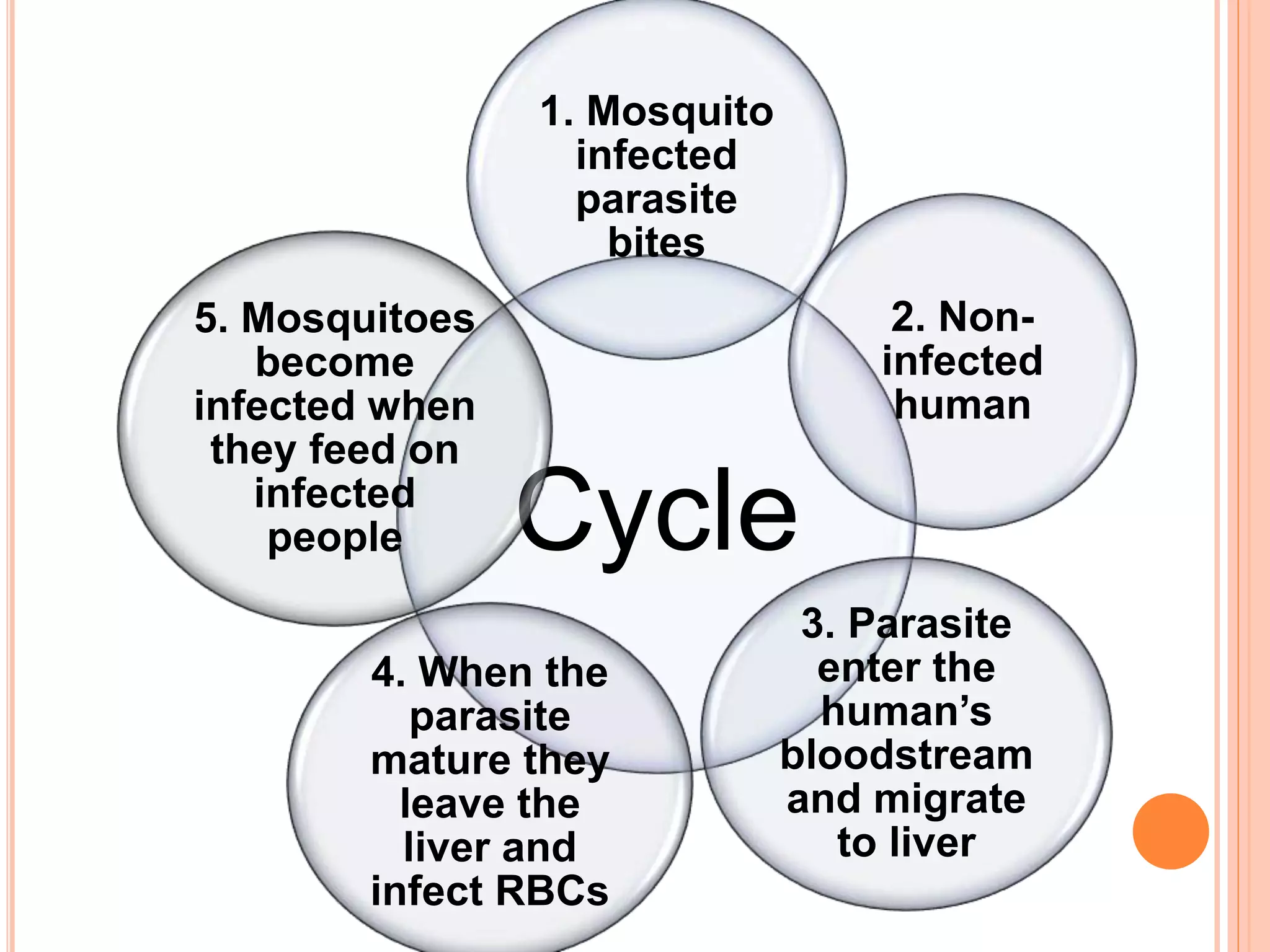 Malaria | PPTX | Infectious Diseases | Diseases and Conditions