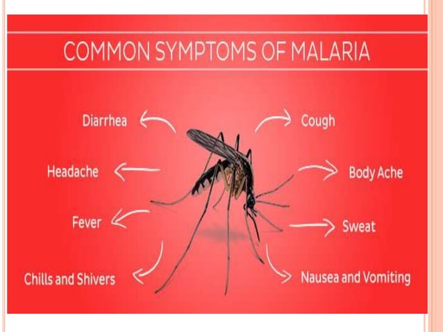 Malaria | PPTX | Infectious Diseases | Diseases and Conditions