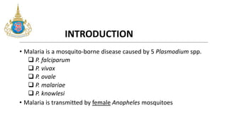 Malaria | PPT