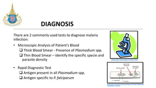 Malaria | PPTX