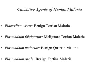 Malaria | PPT