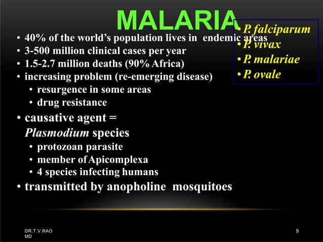 PPT MALARIA | PPT