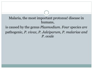 Malaria | PPTX