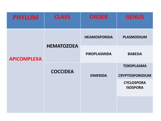 Malaria | PPTX