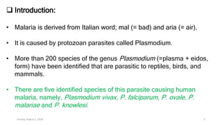 Malaria | PPTX