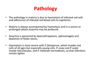 Malaria | PPT