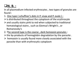 human Malaria | PPTX