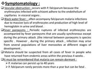 human Malaria | PPTX