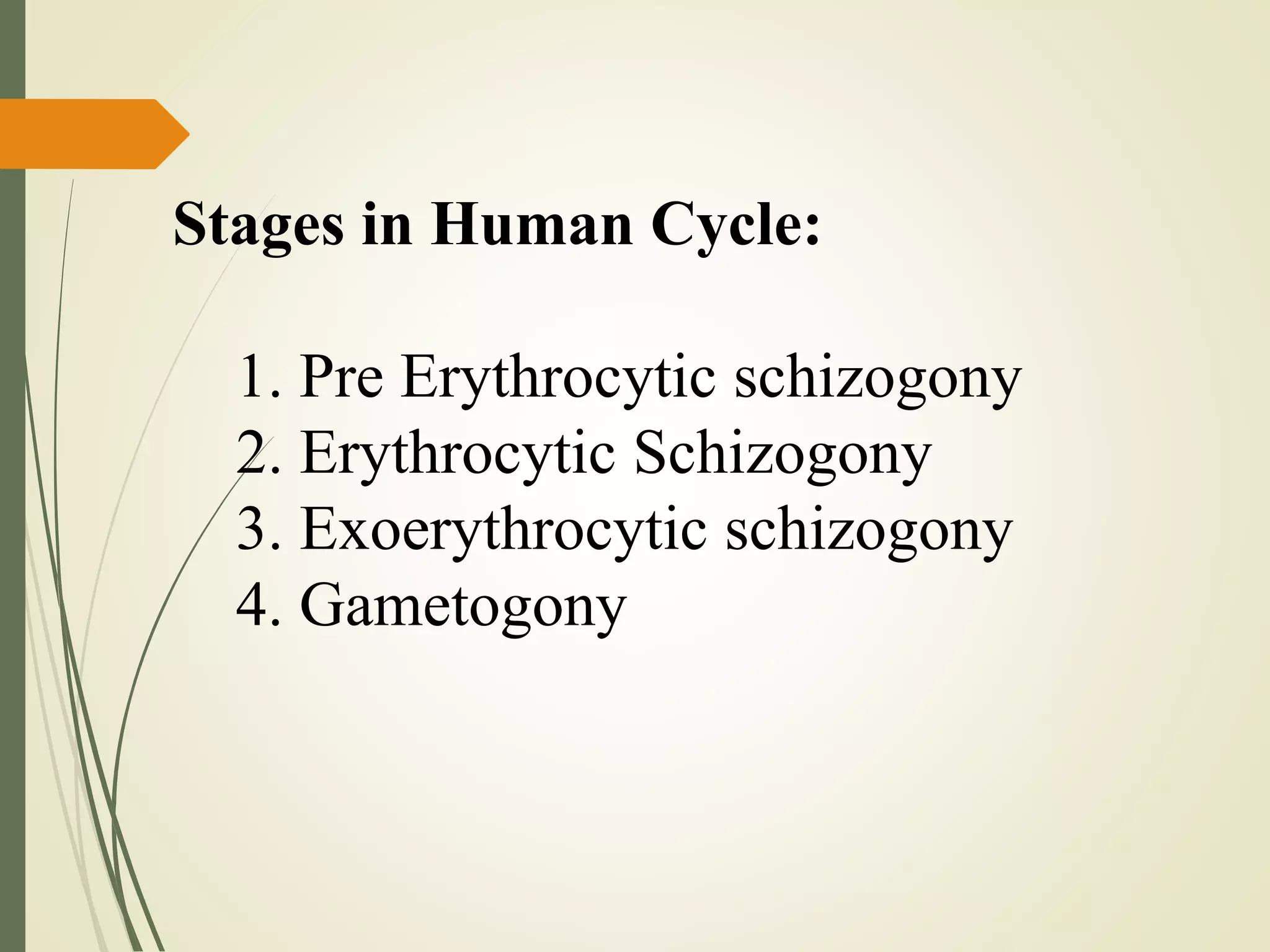 Biology and Drug Therapy of Malaria | PPTX