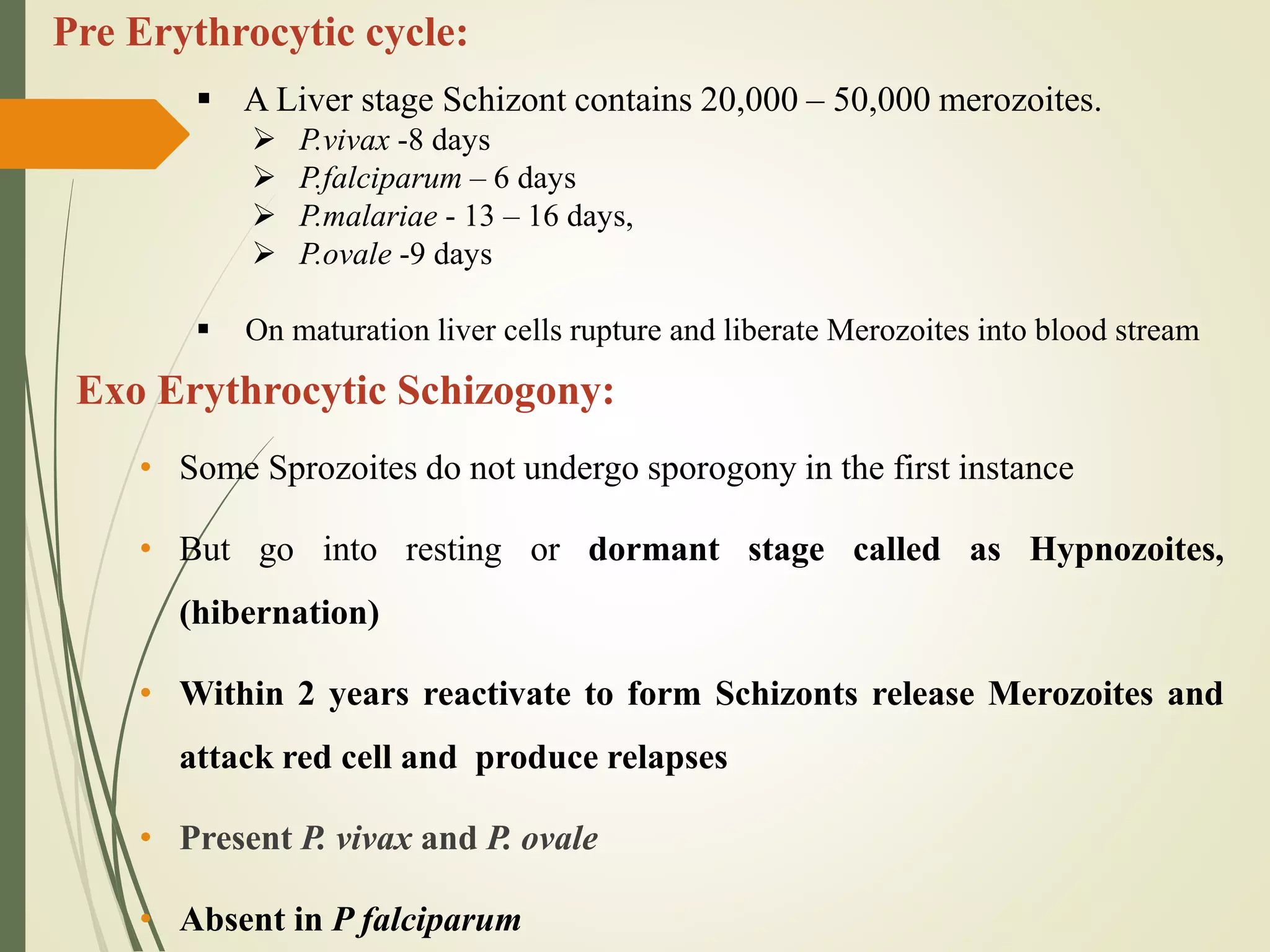 Biology and Drug Therapy of Malaria | PPTX